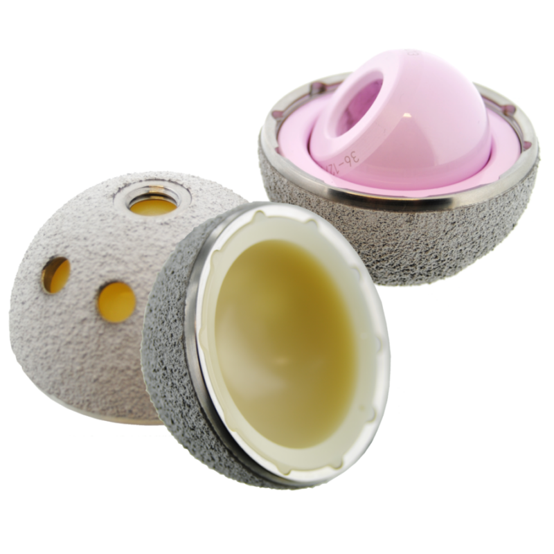 Evolutis Group: Stemsys® | Evolutis NZ